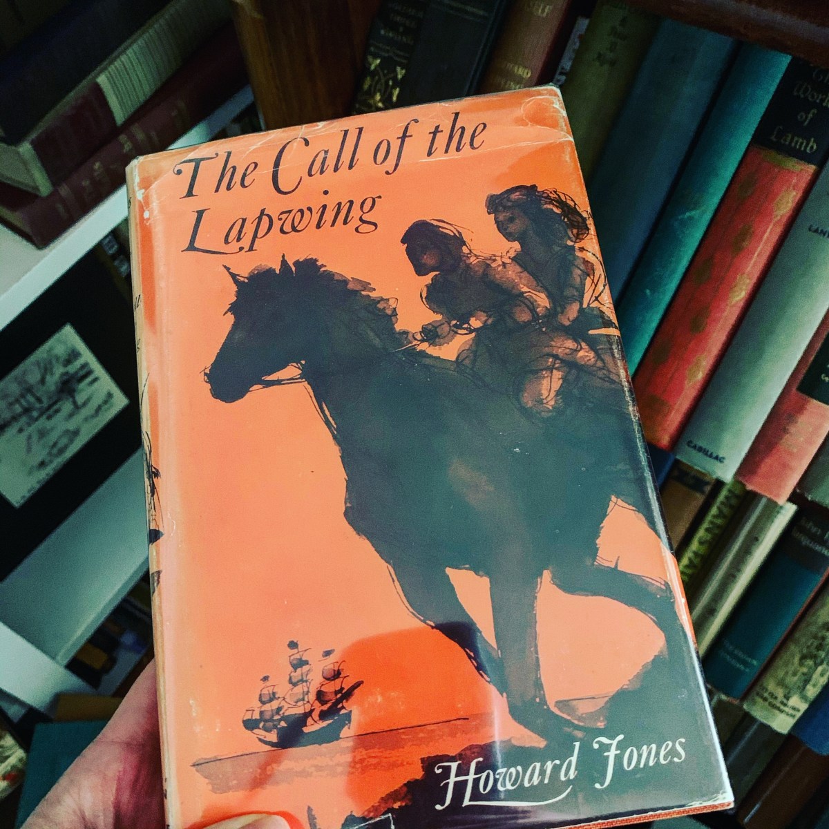 The Call of the Lapwing by Howard Jones – BRIANNE TURCZYNSKI